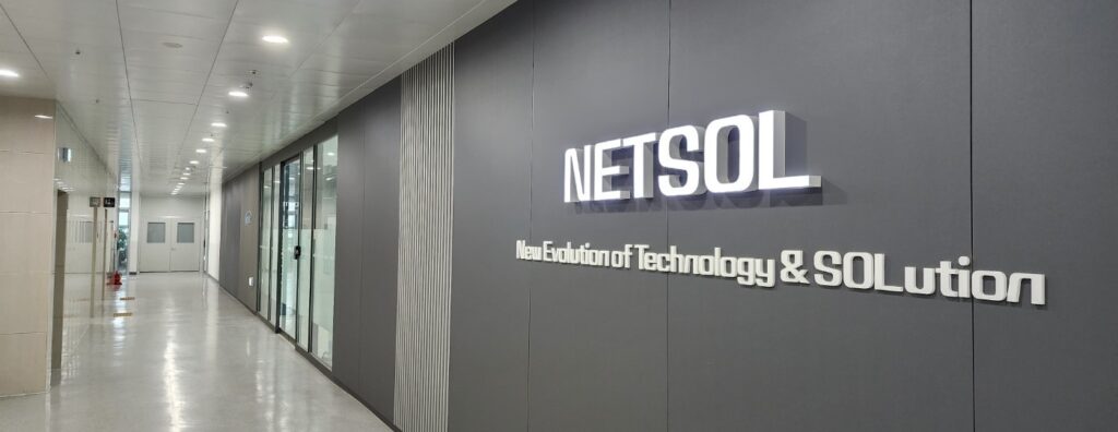 公司简介 - NETSOL